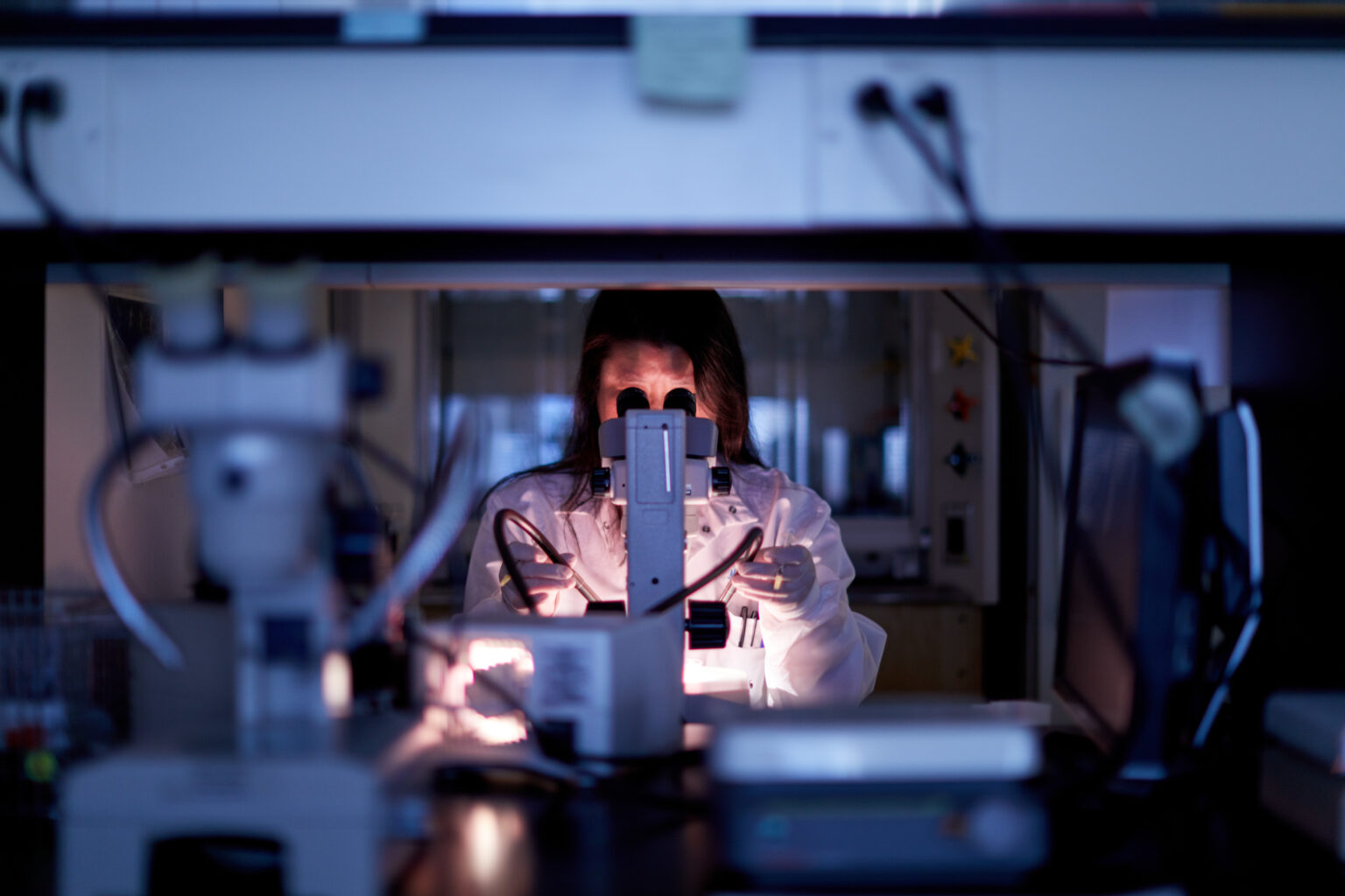 WashU Innovation - Our Process